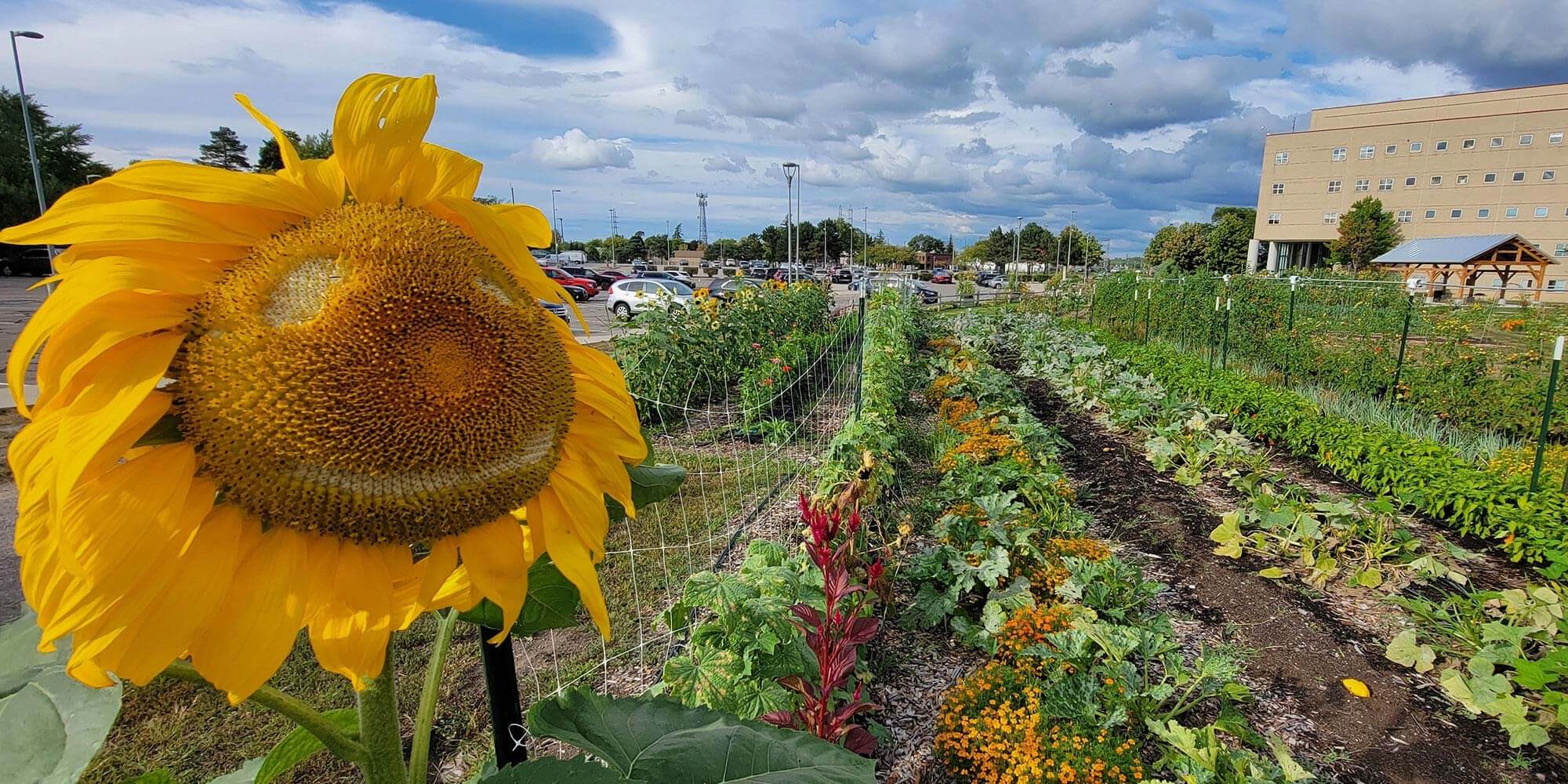 Food Assistance | The Farm | Trinity Health