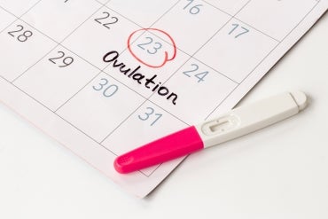 Fertility 101: What You Should Know | Trinity Health Michigan